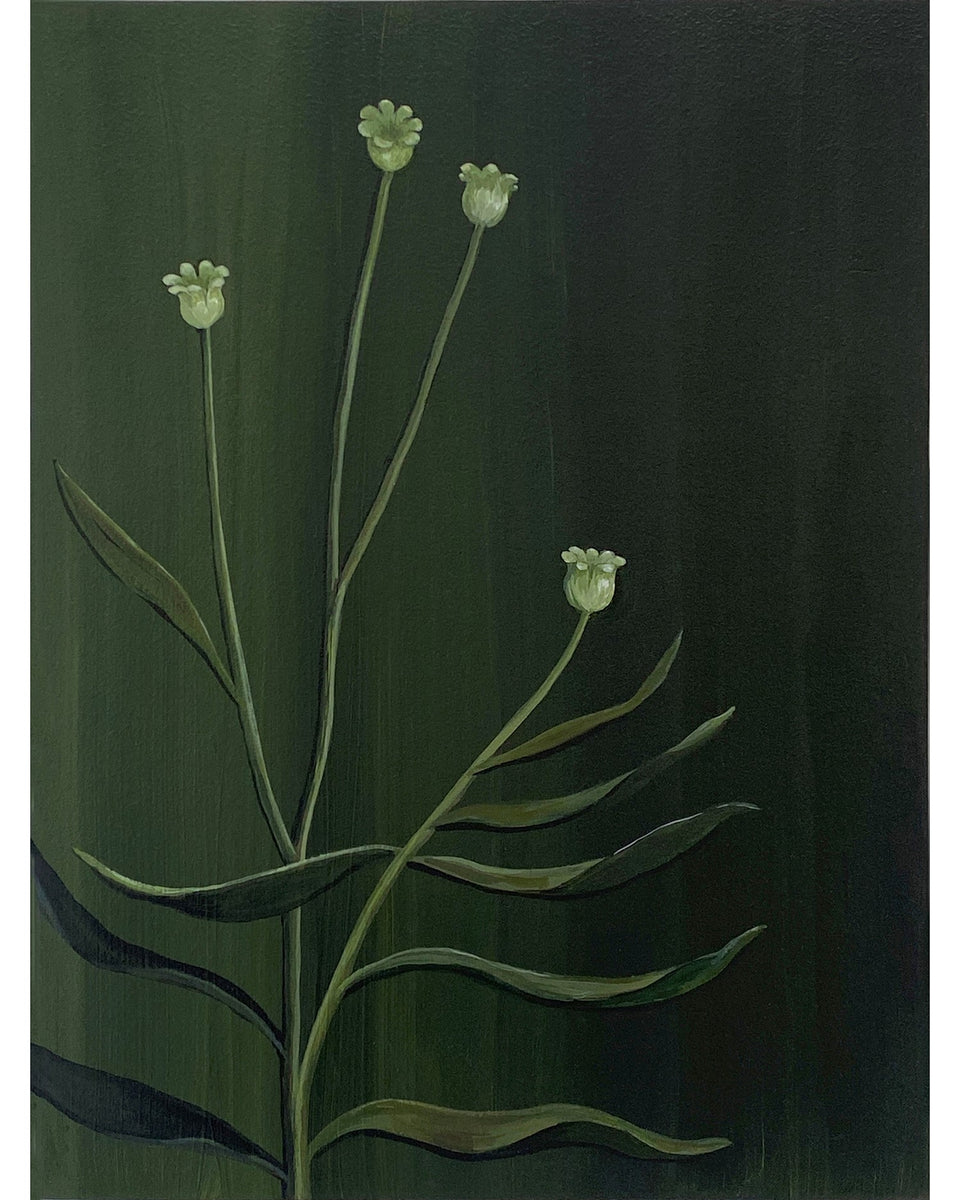 White Bells, 2025 – Art Rental & Sales