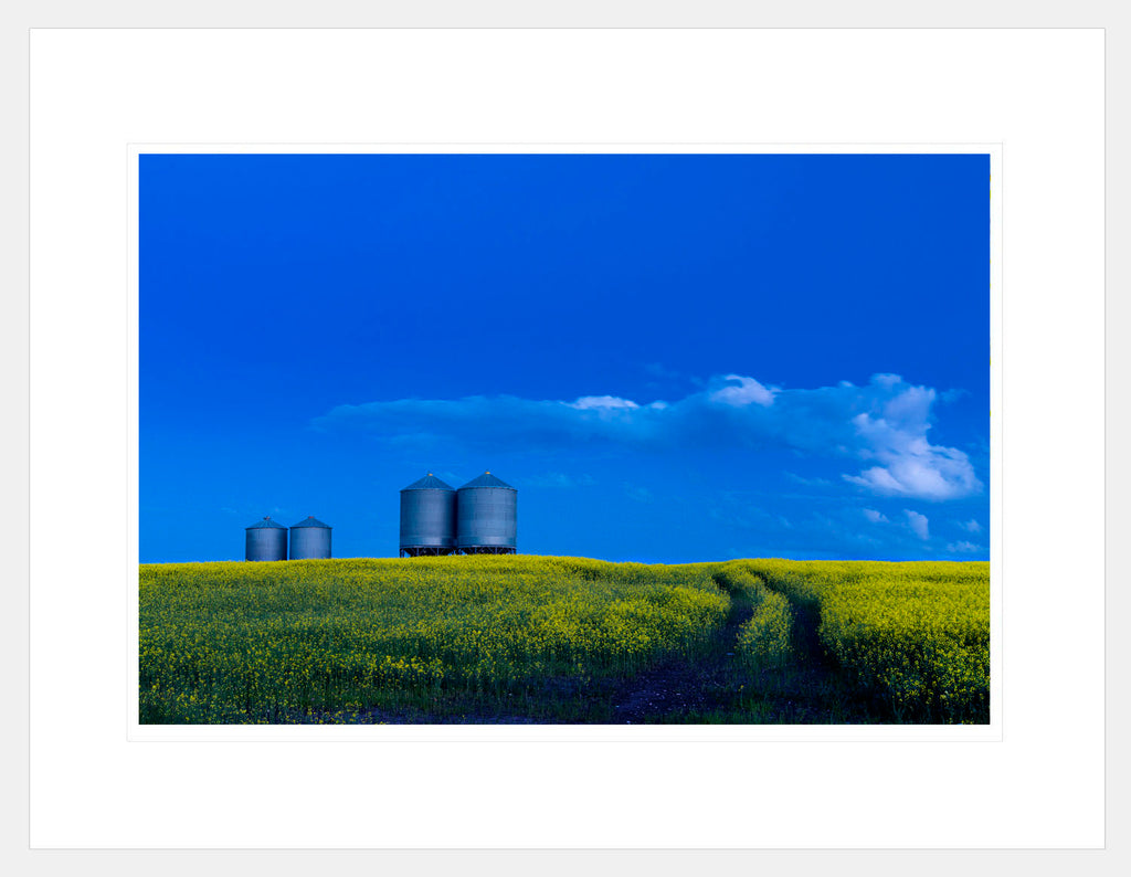Twilight Field 1 - Ed.1/5 – Art Rental & Sales